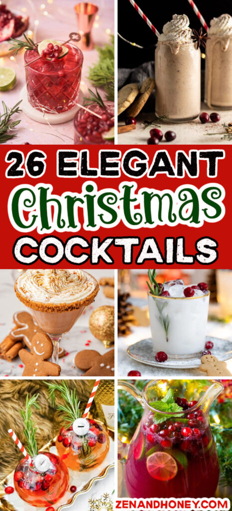 27 Festive & Easy Holiday Drinks - ZEN AND HONEY