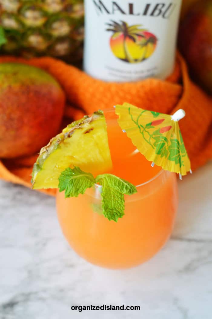 15 Show-Stopping Malibu Rum Drink Recipes - ZEN AND HONEY