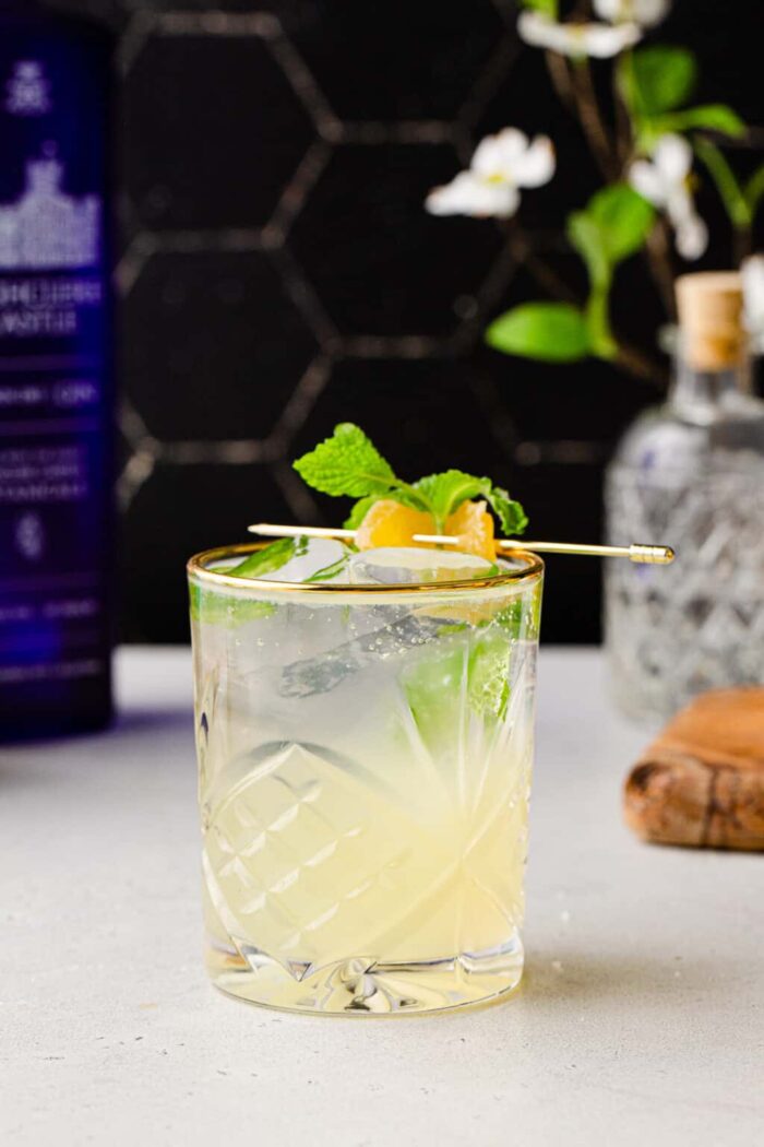 29 Try-Worthy Gin Cocktails for Summer - ZEN AND HONEY
