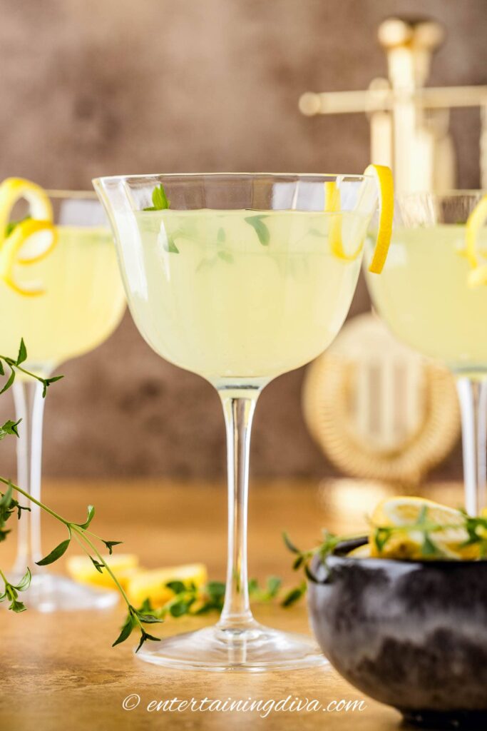24 Show-Stopping Martini Recipes Sure To Entertain - ZEN AND HONEY