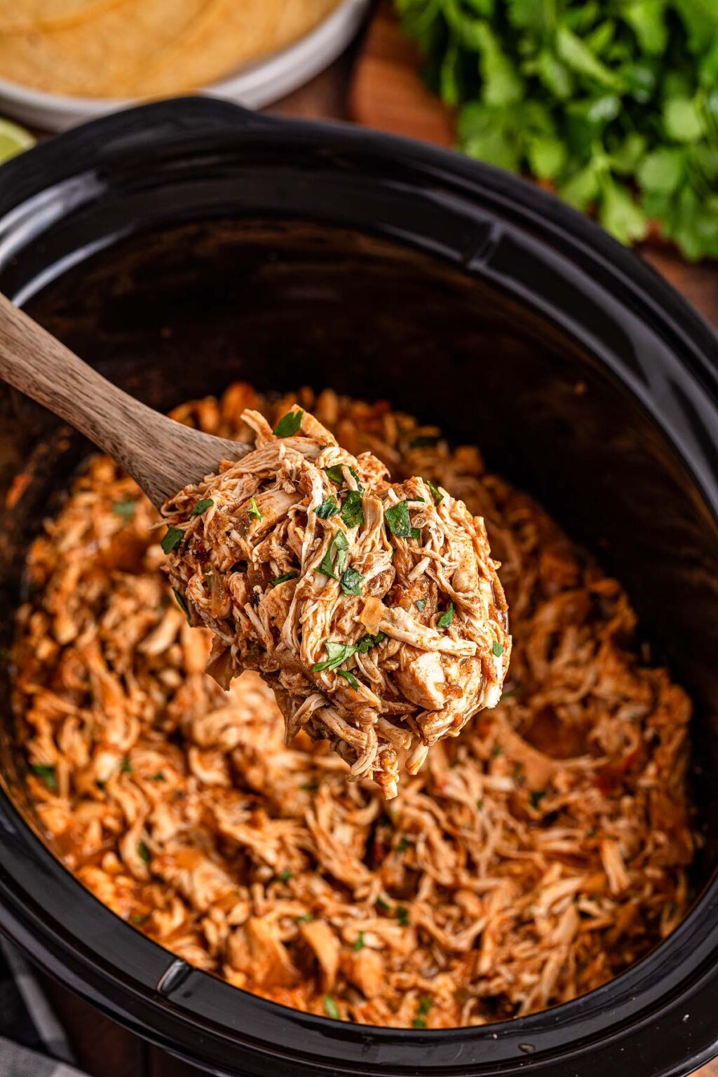 17 Mexican Chicken Recipes To Turn Dinner Into a Fiesta - ZEN AND HONEY