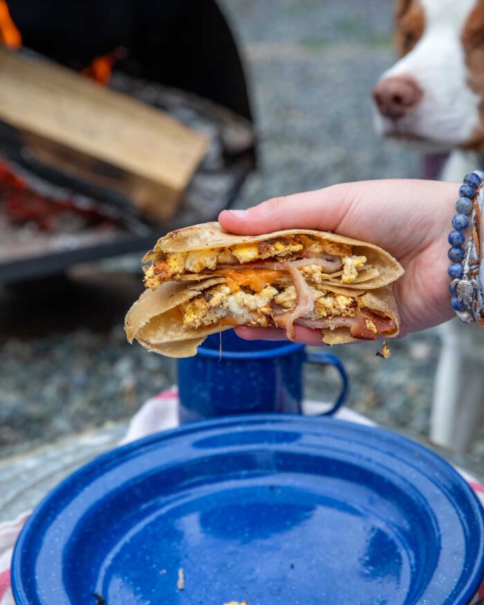 19 Sweet & Savory Bonfire Food Ideas for an Outdoorsy Feast - ZEN AND HONEY