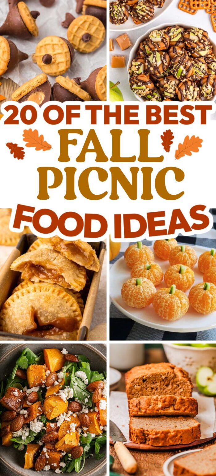 20 Easy Fall Picnic Food Ideas Fit To Feed The Crowd - ZEN AND HONEY