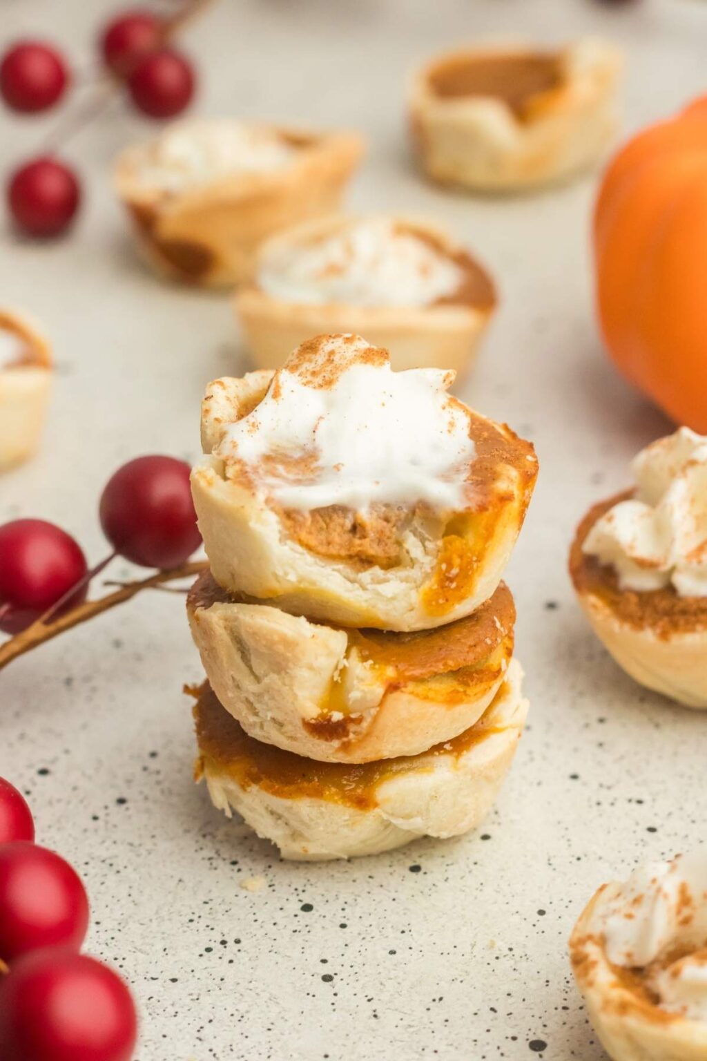 26 Best Canned Pumpkin Recipes To Try This Fall - ZEN AND HONEY