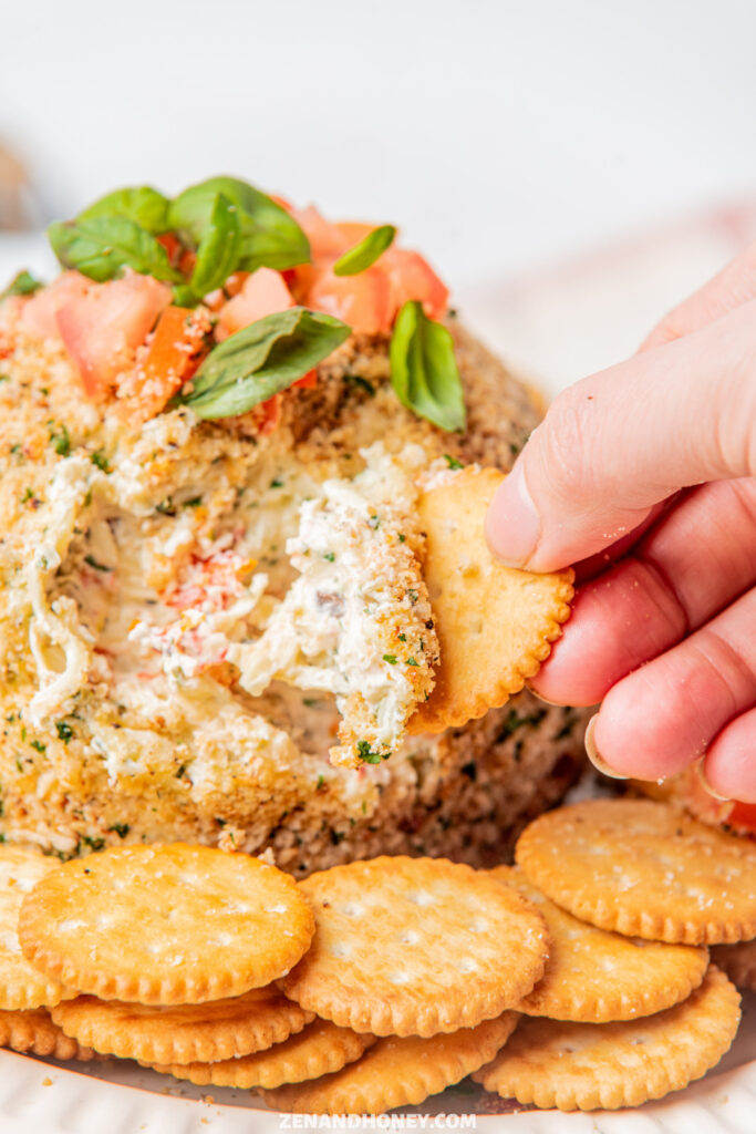 18 Best Cheese Appetizers Cheese Lovers Will Appreciate - ZEN AND HONEY