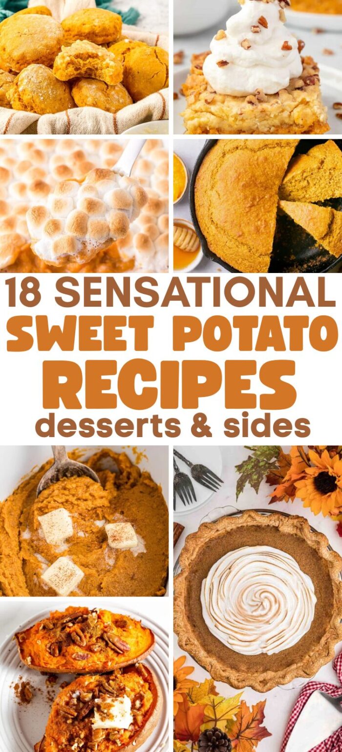 18 Sensational Sweet Potato Recipes That'll Charm Your Guests - ZEN AND ...